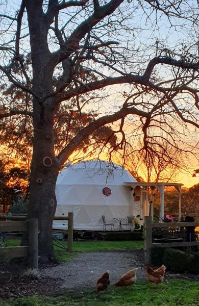 Counting Stars - Gippsland