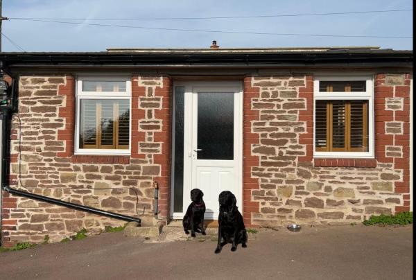 The Netherend Inn - Pet Friendly Haven - Forest of Dean