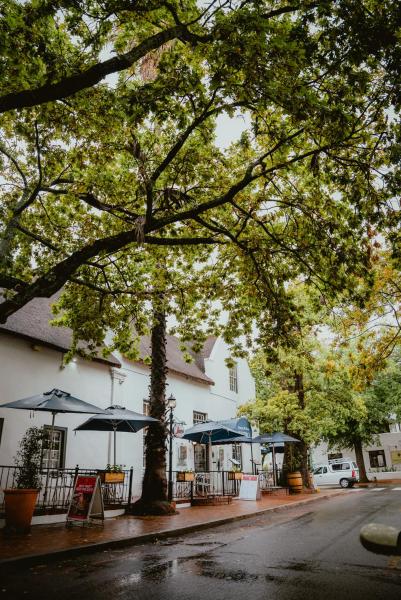 The Stellenbosch Hotel - Stellenbosch