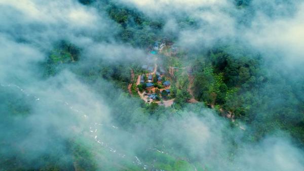Silent Brook Resort - Coorg - Kodagu