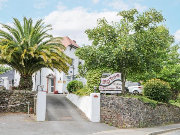Flat 3, Big Tree Holiday Flats - Totnes