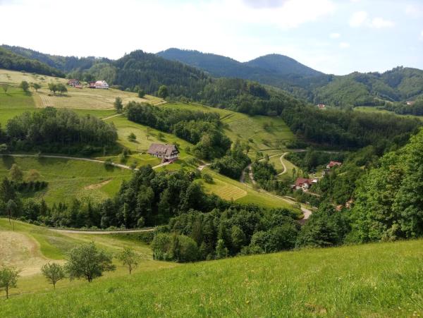 Moosblick - Oppenau, Deutschland