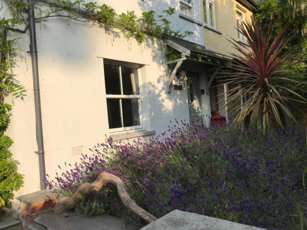 Bethel Cottage - Lyme Regis