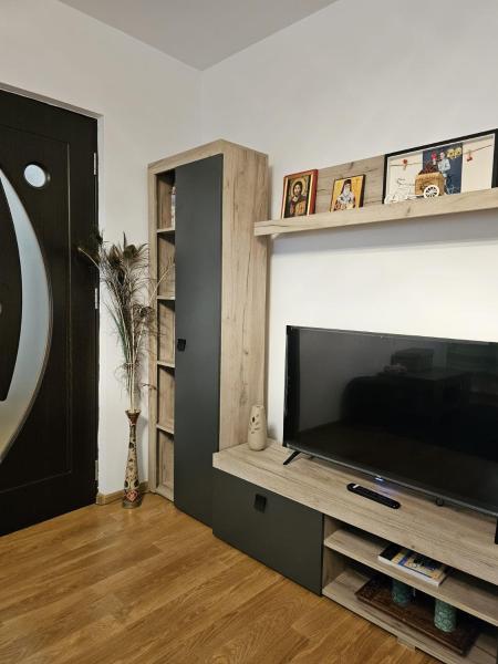 Mony Apartaments - Roman