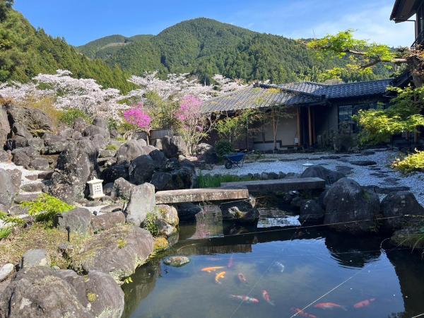 すいこうえんさくら - 富士宮市