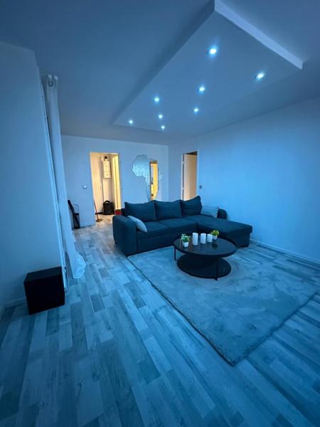 Très Beau Logement Chic & Cosy - Nogent-sur-Marne