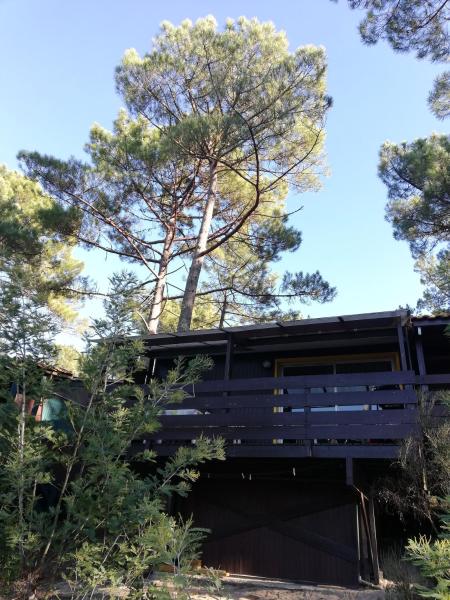 Chalet Dans Les Pins - Maubuisson