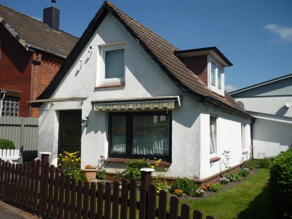 Lachmöwe - Wesselburen