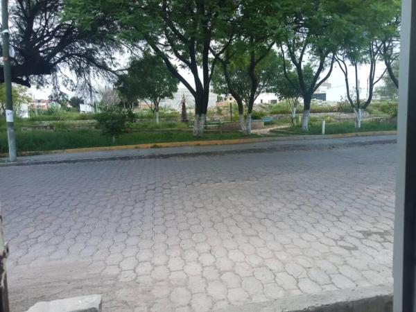 Departamento Con Entrada Independiente - Tehuacán