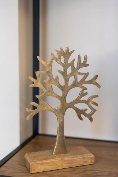 Santa Marina 4 - Янина