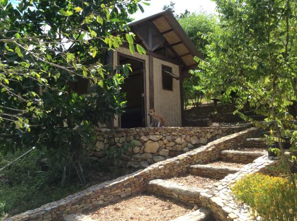 Bahay Kubo - Busuanga