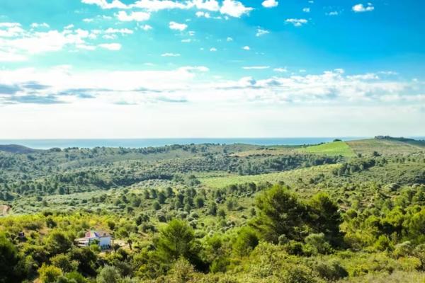 Farmsky 2 Permaculture Paradise Double Room At Wildspirit Eco Farm - Torreblanca