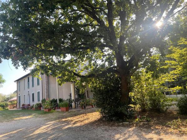 Appartamento Danilla - Forli