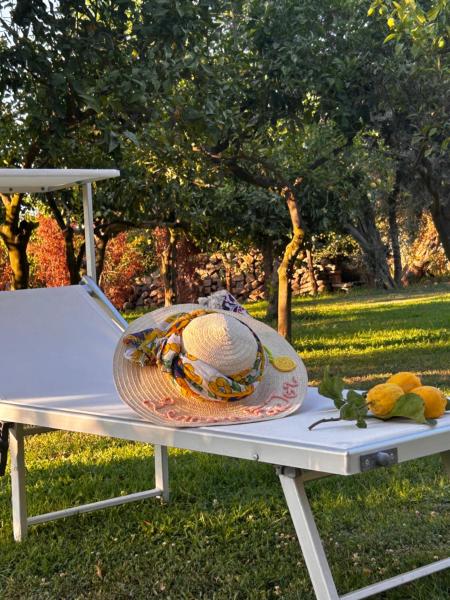 Lemon Factor Sorrento - Massa Lubrense