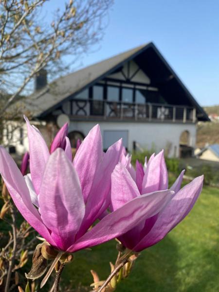 Ferienwohnung Stähbachtal - Monreal