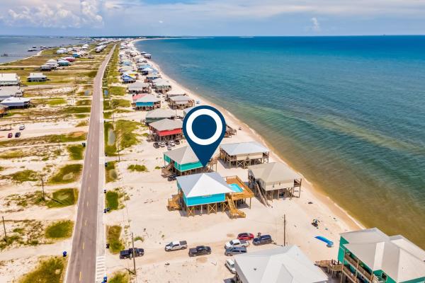 Sea The Dolphins - Dauphin Island, AL