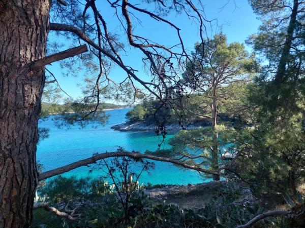 Apartment In Mali Losinj With Terrace, Air Conditioning, Wifi, Washing Machine 4913-1 - Mali Lošinj