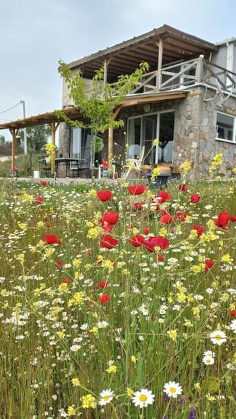 Egedebirnefes Assos - Çanakkale