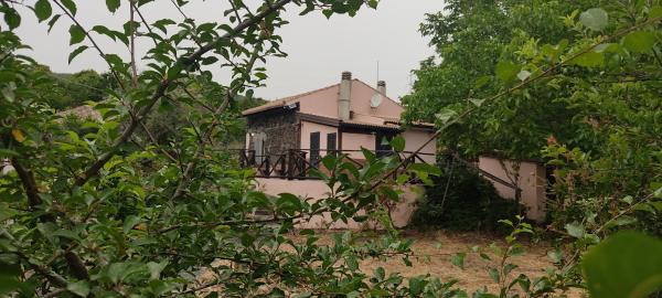 La Rosa Antica Dell'etna - Mascali