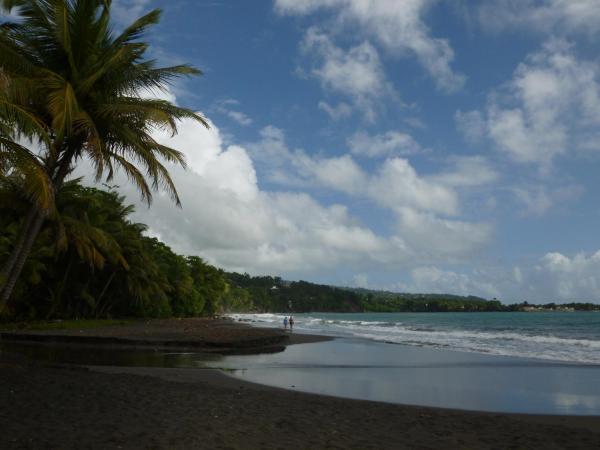 Les Jardins Des Balisiers - Guadeloupe
