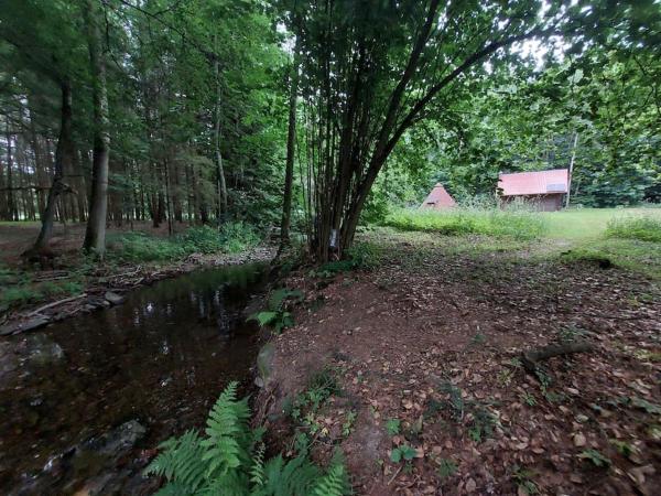 Off-grid Cottage Near River And Forest! - Tschechien