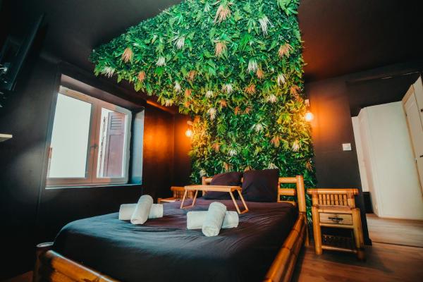 Suite Jungle - Haute-Loire