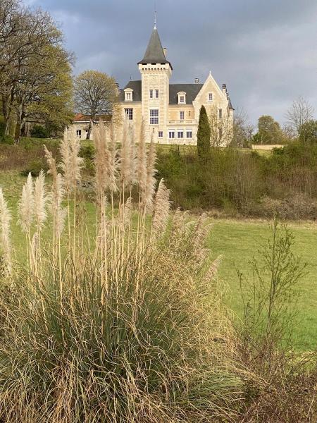 Chateau De Bellevue B&b Et Appartements Avec Piscine Saisonal Chauffée Et Chambres Partout Climatisées - Aubeterre-sur-Dronne