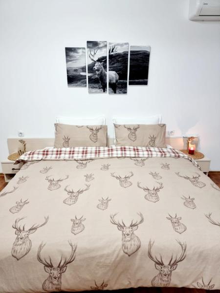 Studio Vihren 11,bansko - Bansko