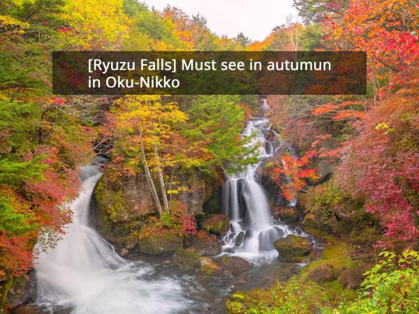 亀の井ホテル 奥日光湯元 - 日光市