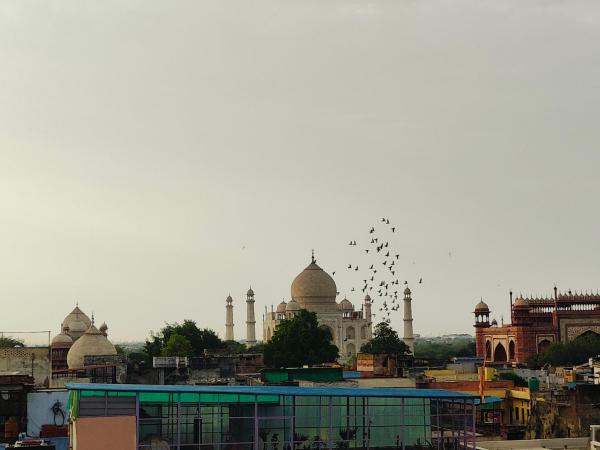 The Vacation Villa - Agra