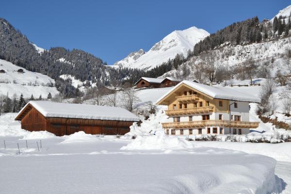 Apartment Santnerhof - チロル