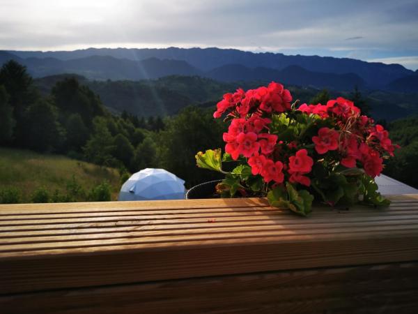 Glamping Zazen - Comuna Moieciu