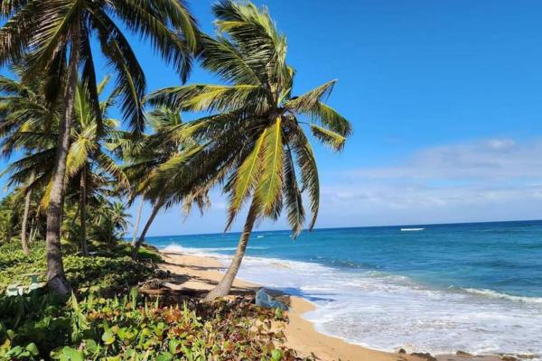 White Paradise Seaside Haven Relax And Unwind - Vega Baja