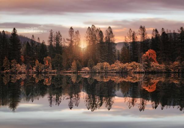 Lakeview Terrace Resort - California