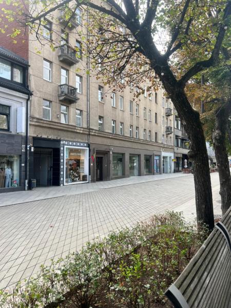Arena Apartment - Kaunas