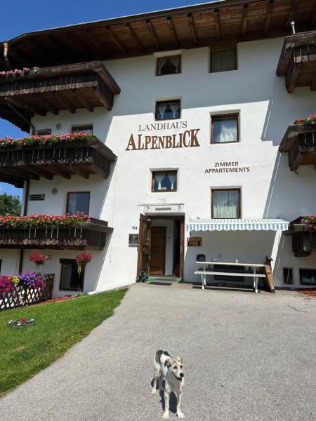 Landhaus Alpenblick - Ehrwald