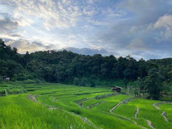 Chibacall ชิบะคอล Karen Mountains Hideaway Homestay - Mae Hong Son