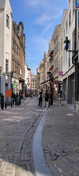 Résidence Marianne 2 - Brussels