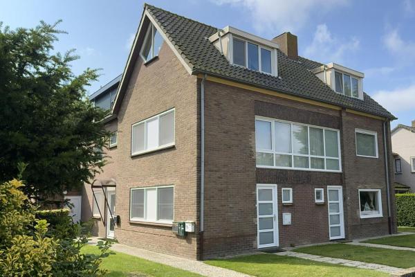 Zeearend - Nieuwvliet