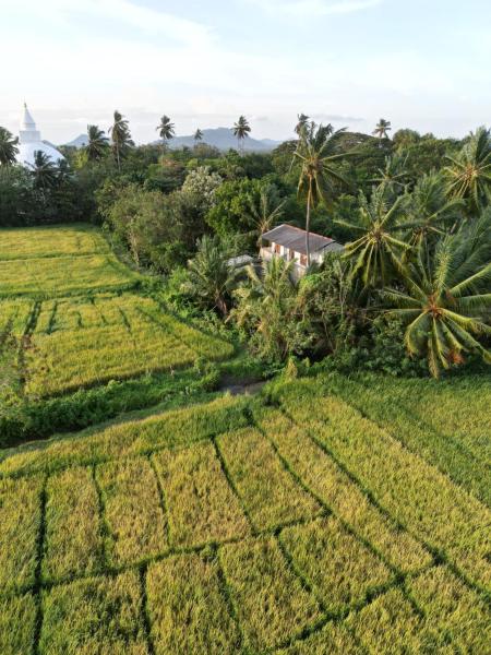 Viveka Inn Guest And Yala Safari - Sri Lanka