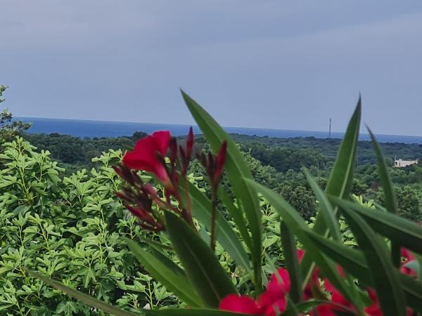 Ferienhaus Villa Marein - Funtana