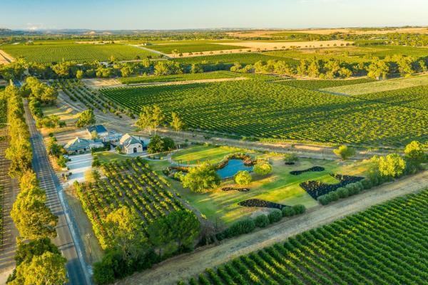 Pirathon Country Estate - Tanunda