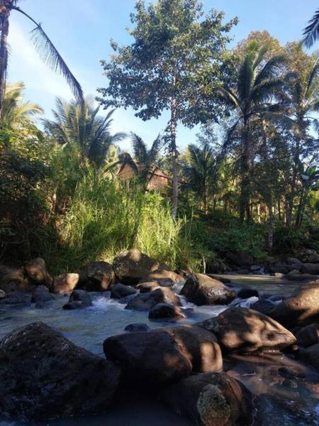 Private Riverside Bali's Eco-lodge In A Peaceful Jungle - Bali