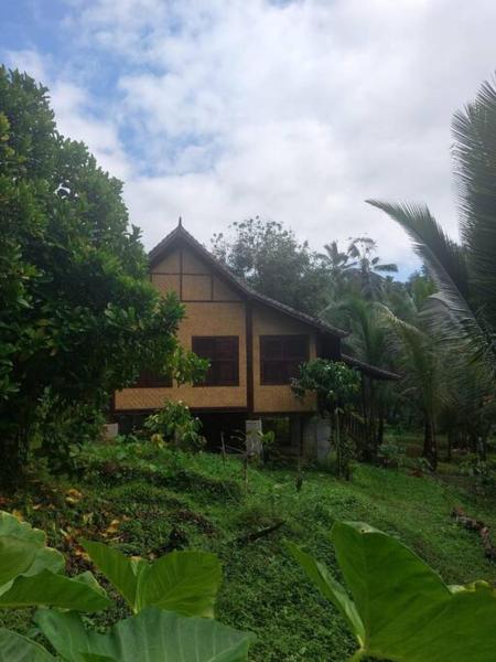 Ecolodge 1br - Junglehavenbali - Bali