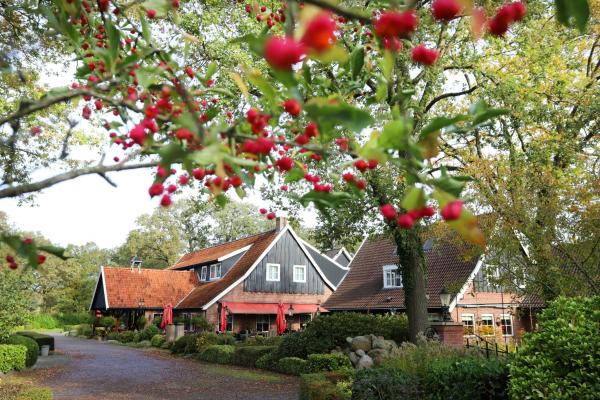 Het Ros Van Twente - Bad Bentheim