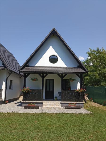 Zöld Tulipán - Praid