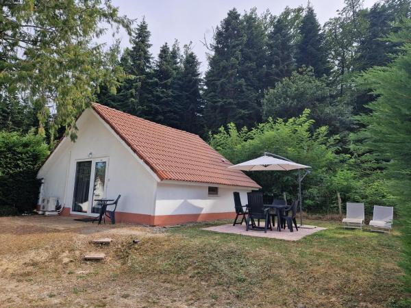 Mon Chalet En Ariège Avec Piscine - España