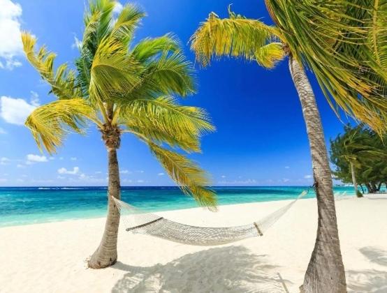Luxury Coral Dream - Cozumel