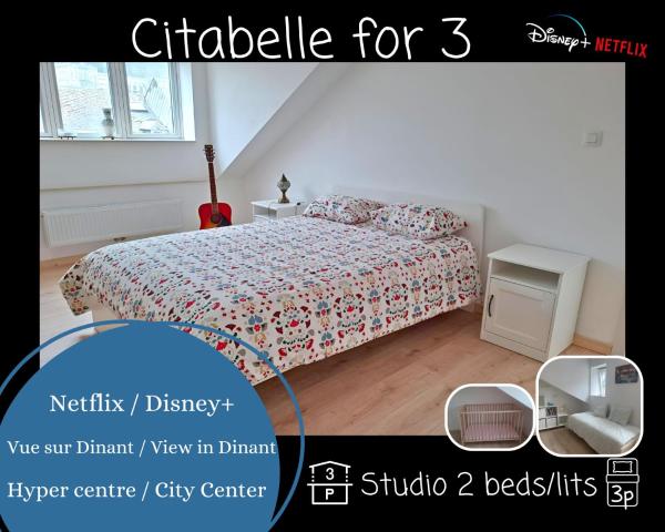 Ô Reflets - Citabelle For 3 - Studio 2 Beds View "Citadelle" - Dinant