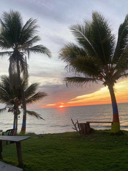 Hotel El Palmar Tours - Arboletes